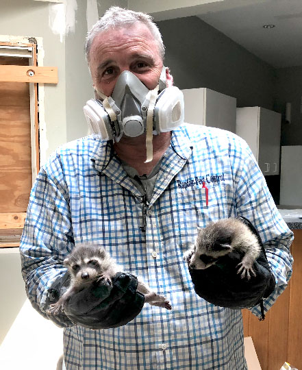 About | Pest Control Long Island